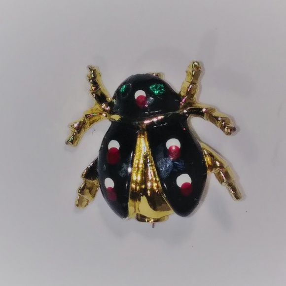 Vintage | Jewelry | Hand Painted Scarab Beetle Egyptian Brooch Pin ...